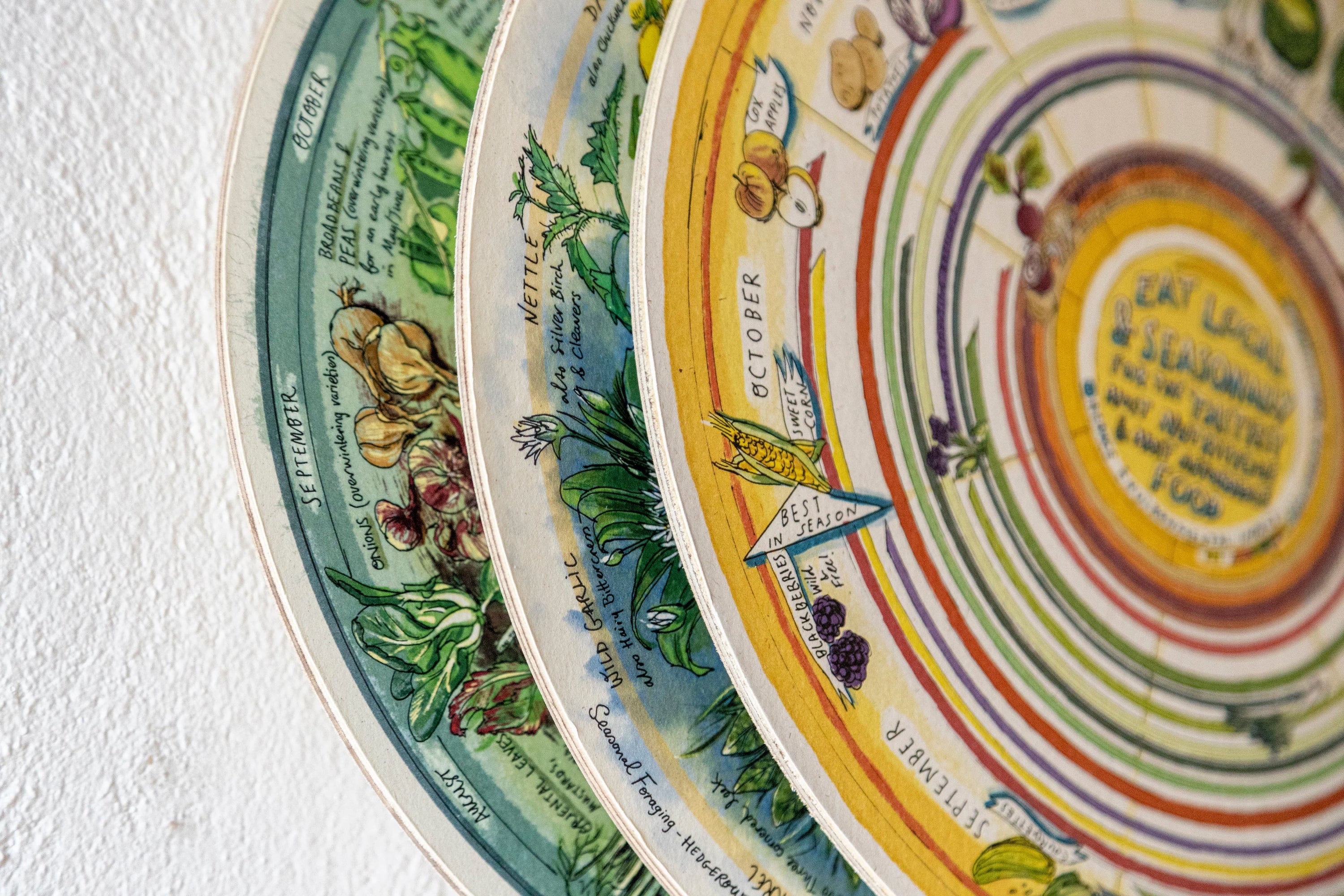 Native Circles Art | Celebrate Nature's Rhythms