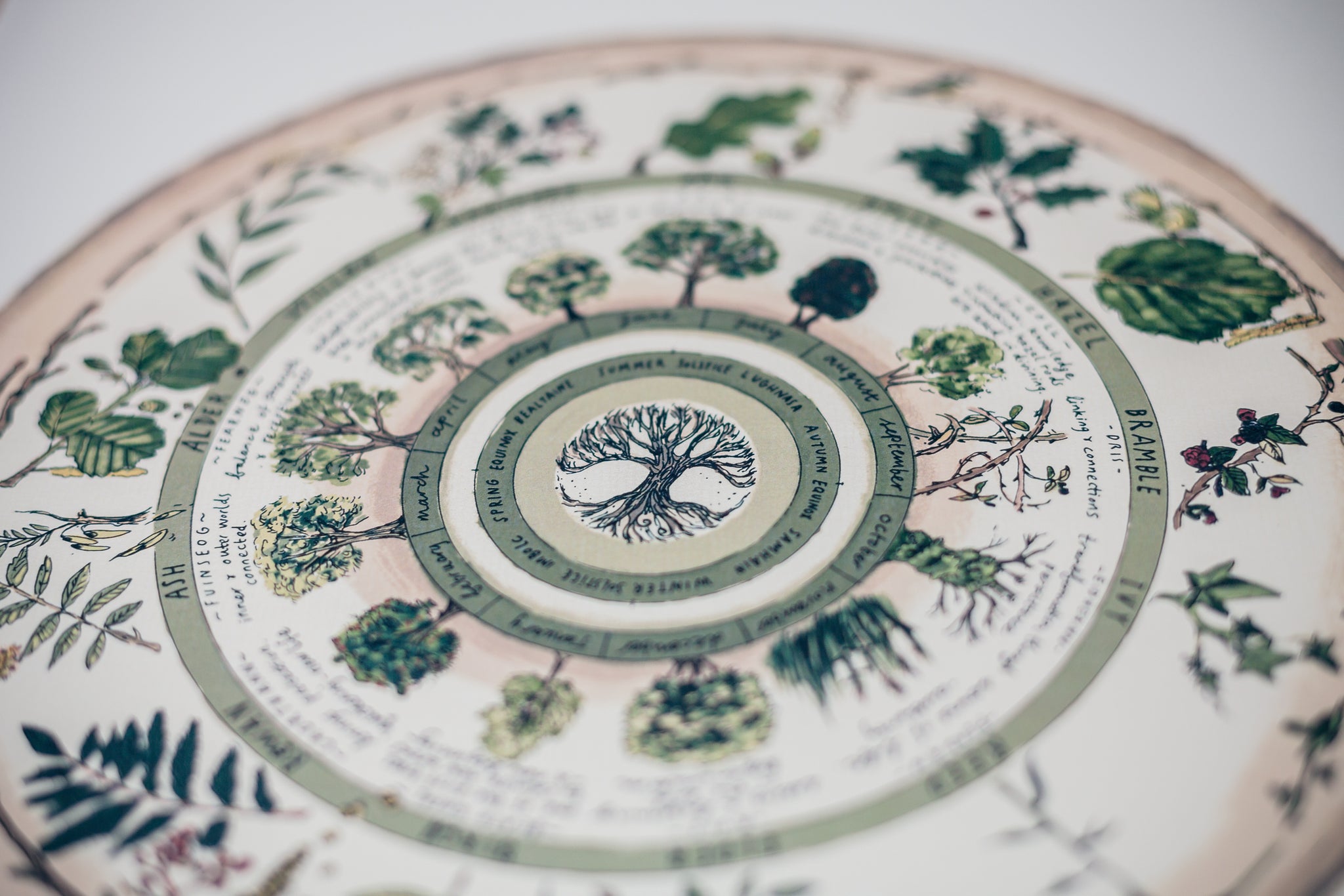 Celtic Tree Calendar — Wooden Circular Print – Native Circles Art