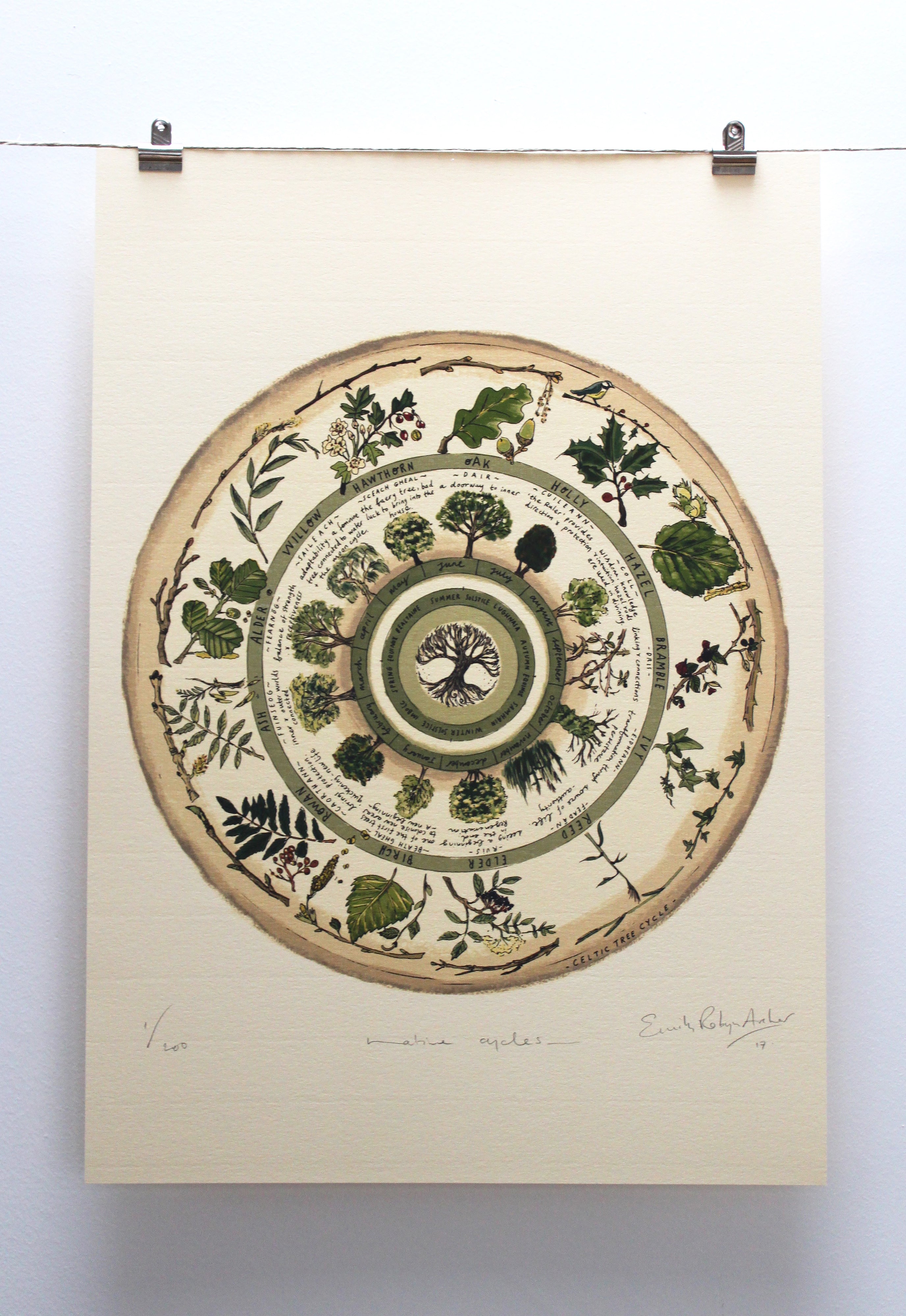 Celtic Tree Calendar — Limited Edition Print on Paper – Native Circles Art